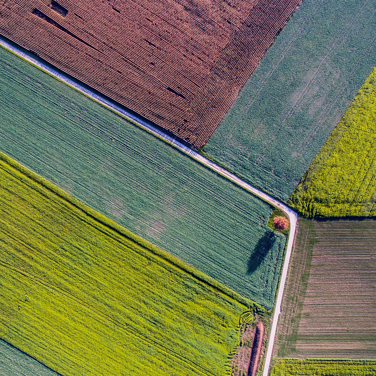 Adding diversification and income through productive land investments