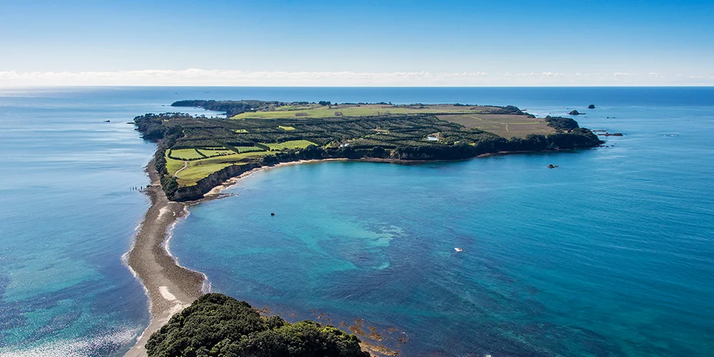 Booster Spotlight Series – Sunchaser Avocados